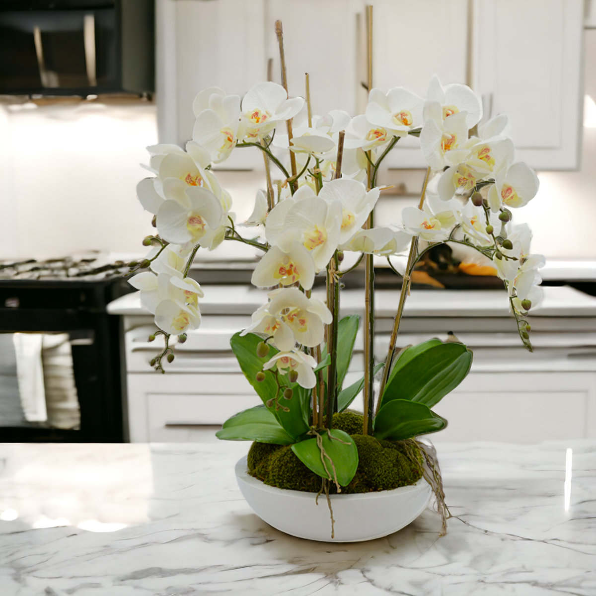 Creative Displays, Inc. Orchid Arrangement in Round Fiberstone Pot & Reviews | Perigold